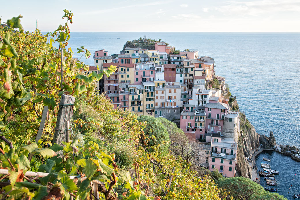 Buy Italy fine wines online with Bitcoins, Lurury wine investment – BTC ...