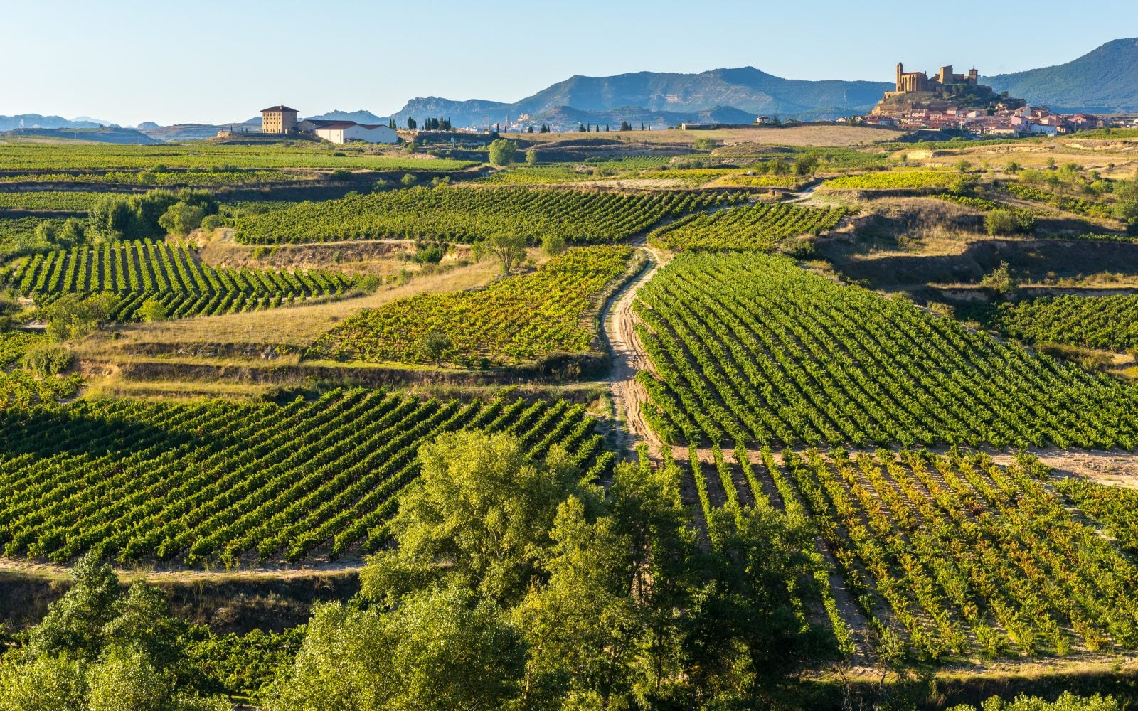 Buy Spain fine wines online with Bitcoins, Lurury wine investment – BTC ...