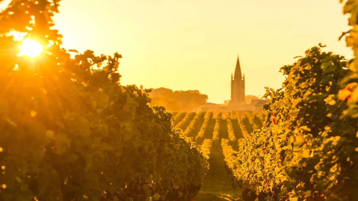 Buy Bordeaux fine wines online with Bitcoins, Luxury wine investment ...