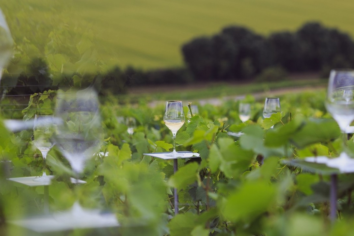 Buy Deutz fine wines online with Bitcoins, Lurury wine investment – BTC ...
