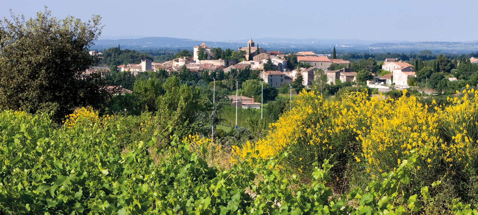 Buy Château des Tours fine wines online with Bitcoins, Lurury wine ...